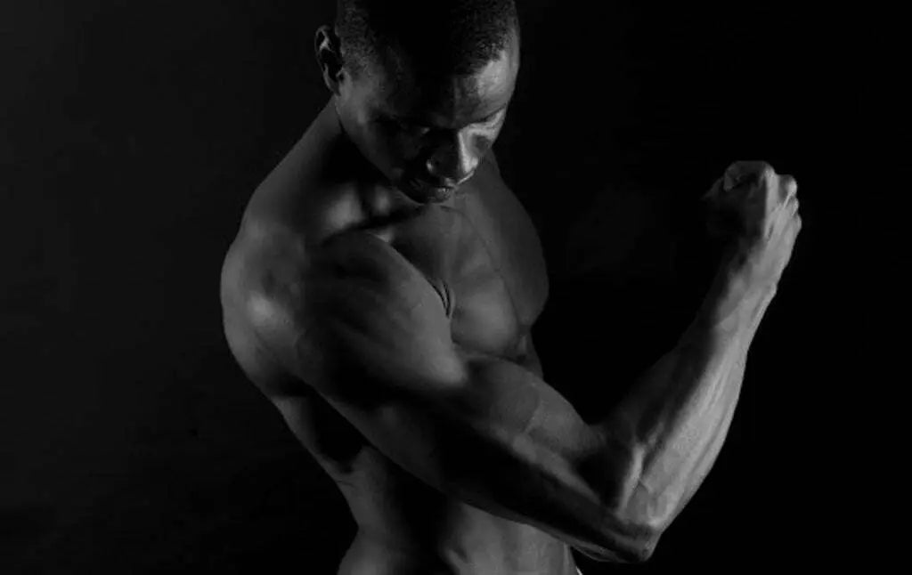 Mesomorph & Endomorph - Body Building India