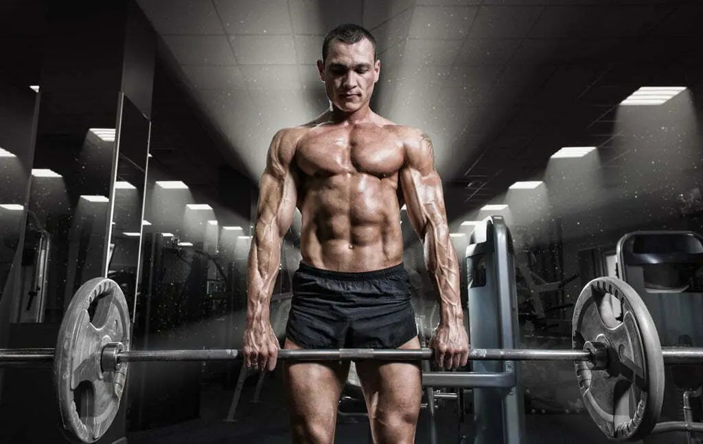 Gain Muscles Without Fat - Body Building India