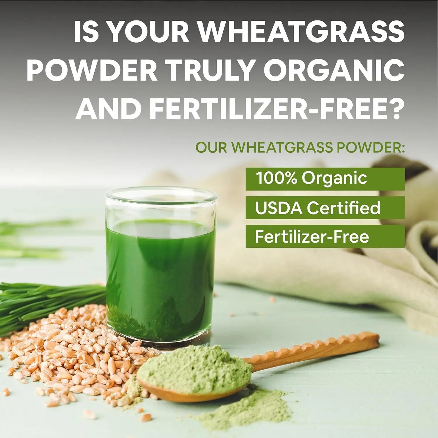 Premium Organic Wheatgrass Powder - Health Benefits – Body Building India