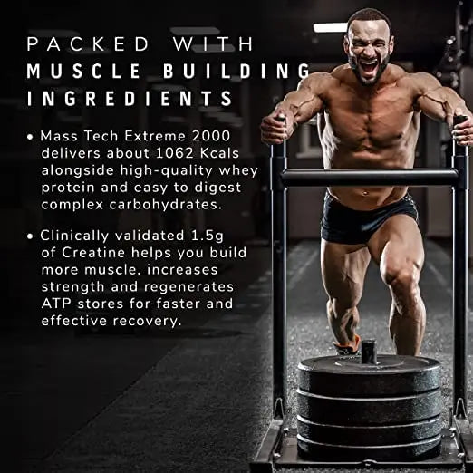 MuscleTech MassTech Extreme 2000 - Body Building India
