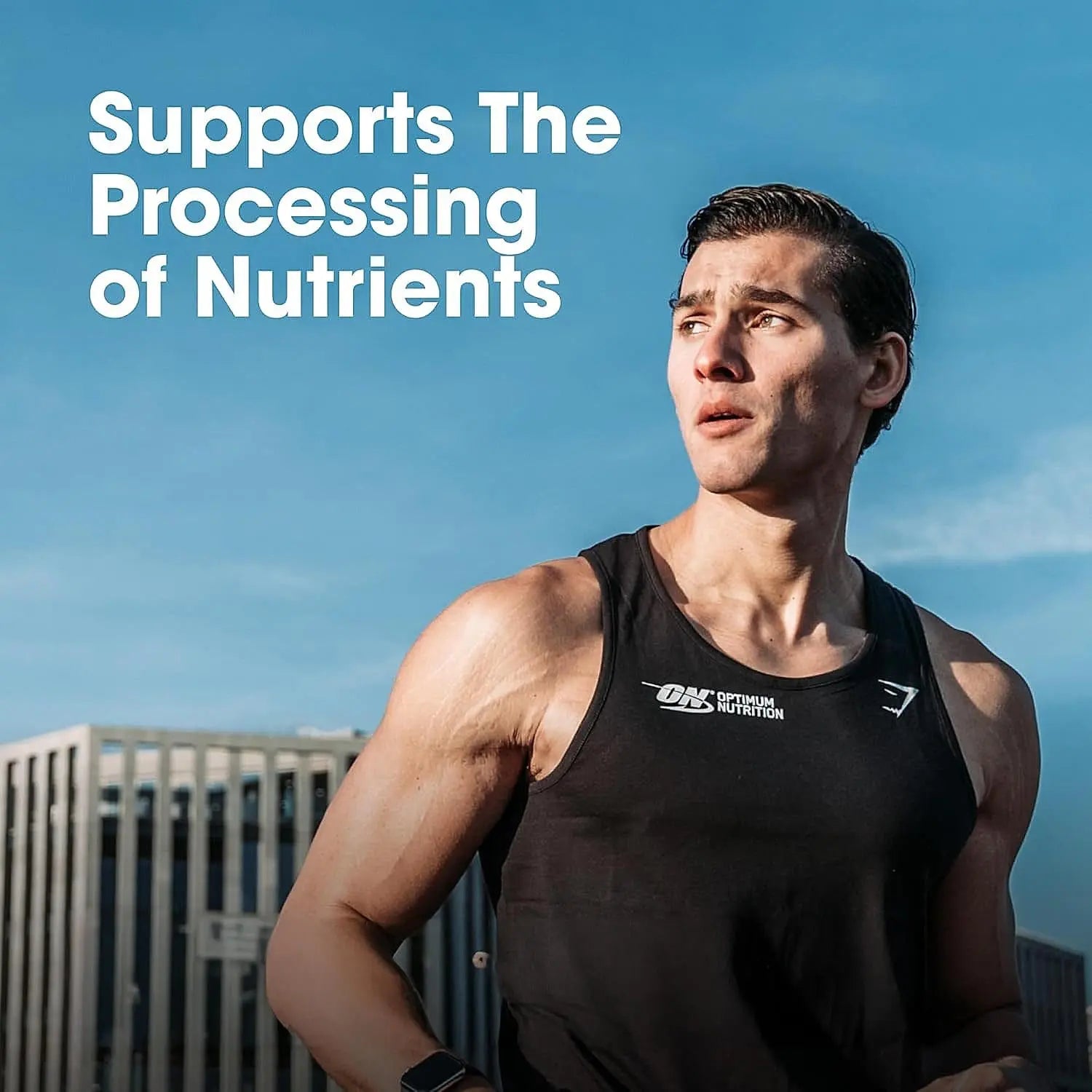 Optimum Nutrition Multivitamin for MEN- 60 Tablets - Body Building ...